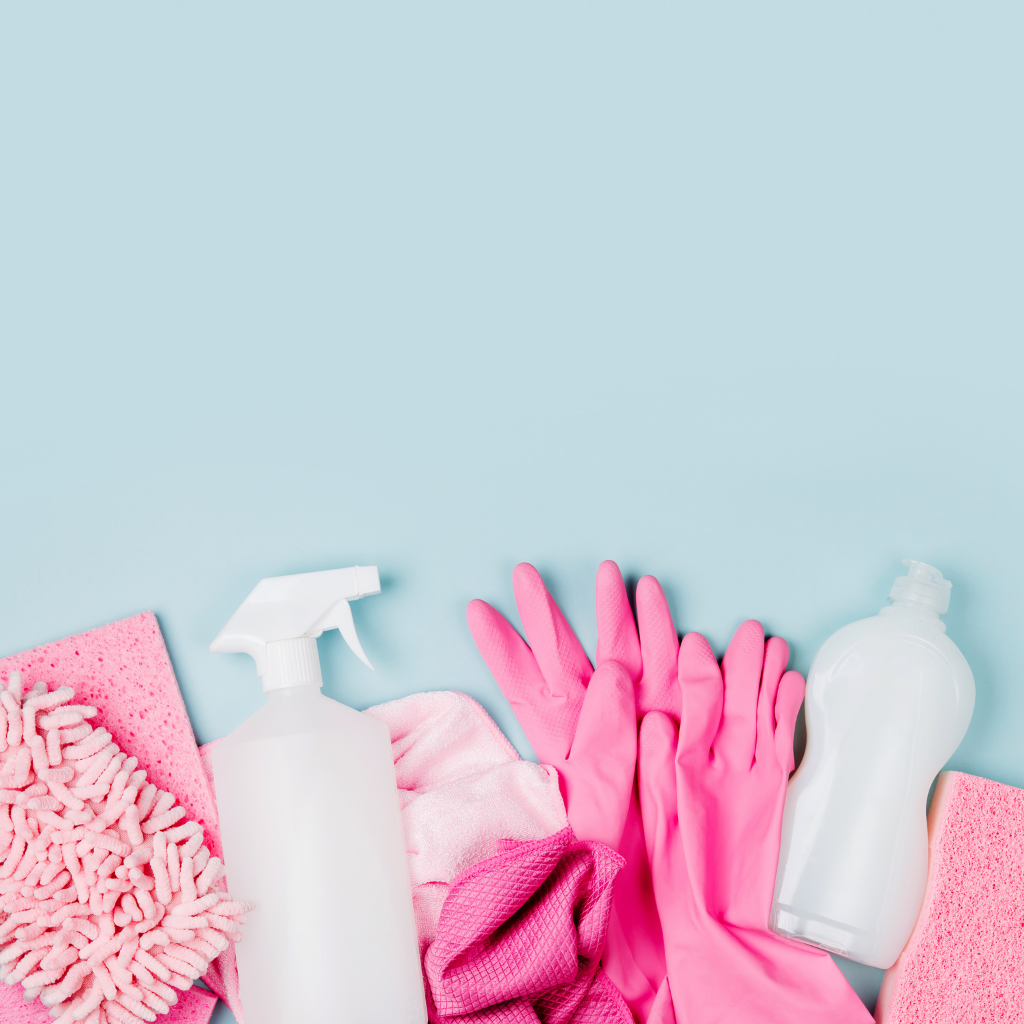 Guide to Spring Cleaning and Organizing Your Bookshelves